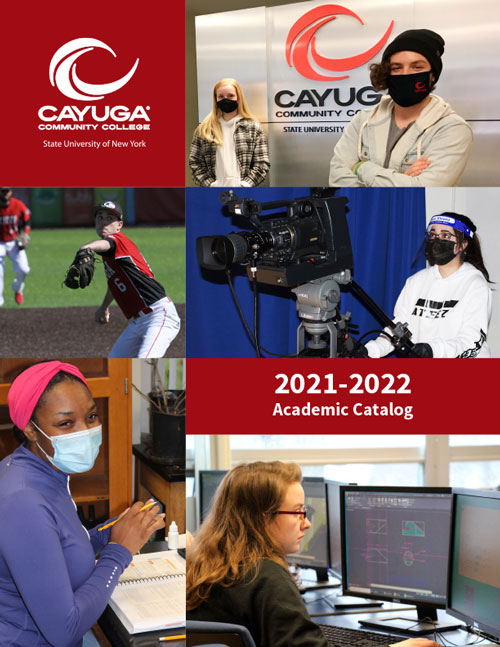 College Catalog and Brochures